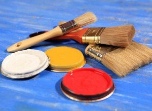 Berus cat: jenis dan saiz, cara memilih