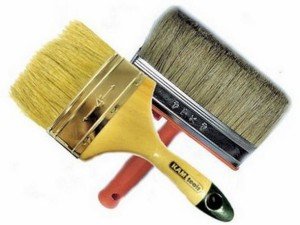 Berus cat: jenis dan saiz, cara memilih