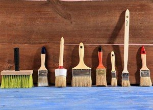 Berus cat: jenis dan saiz, cara memilih