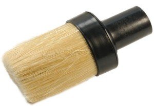 Berus cat: jenis dan saiz, cara memilih